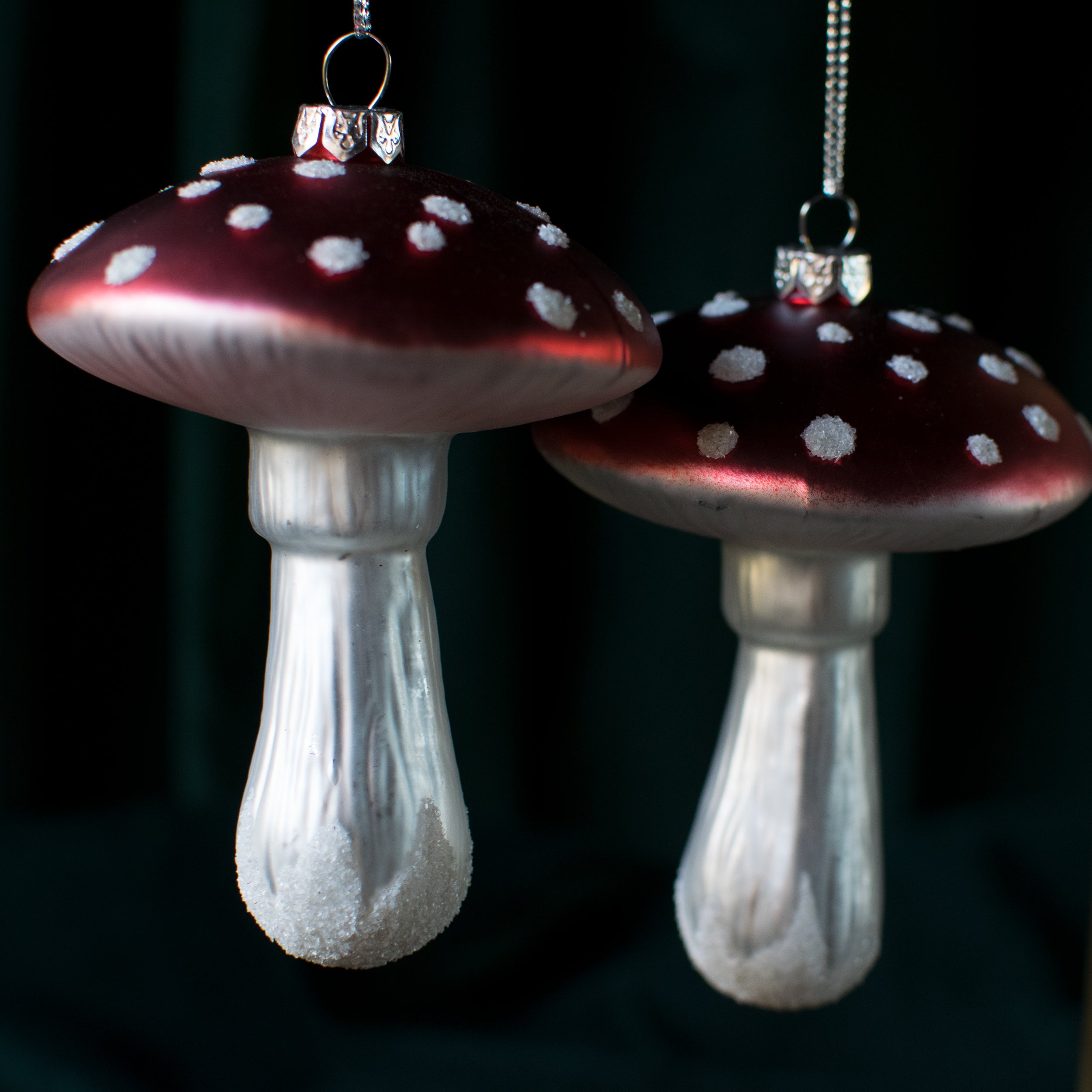 Glass toadstool – Winters Floristry Flower Shop